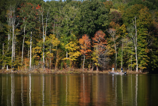 Randleman Lake & Marina