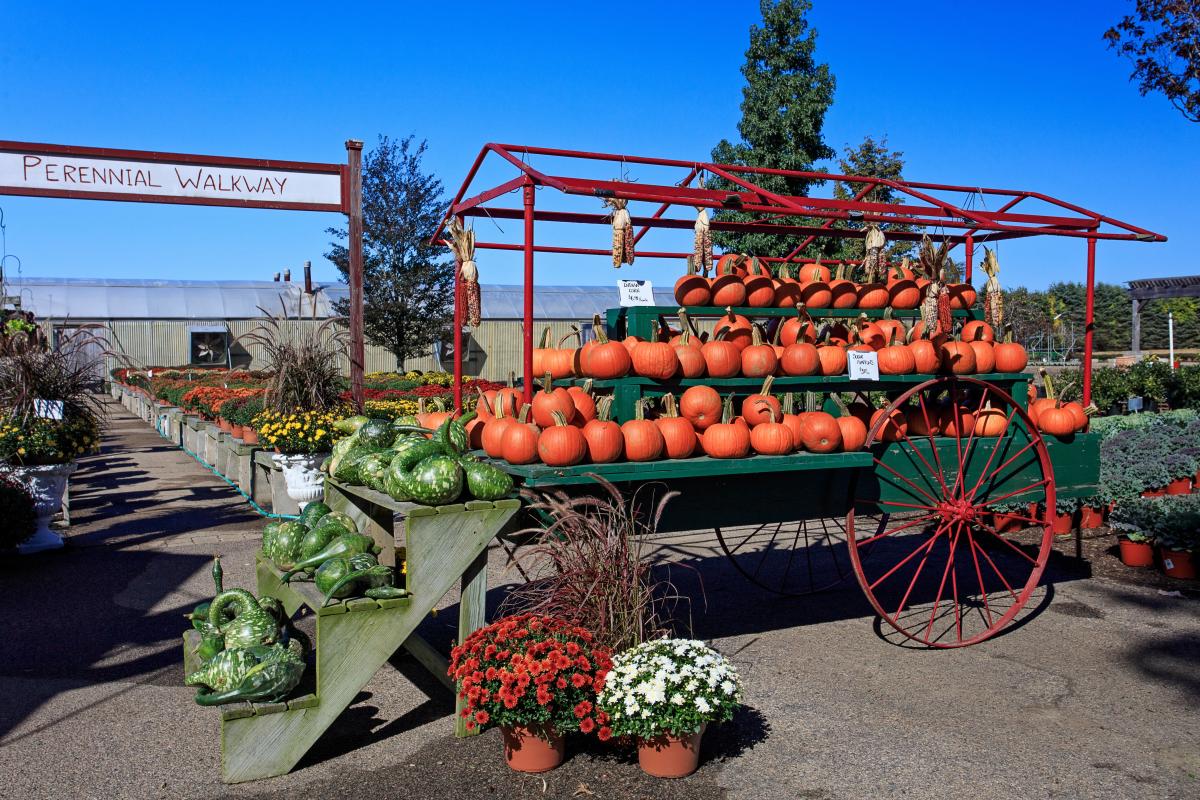 Schartner Farms | Exeter, RI 02852