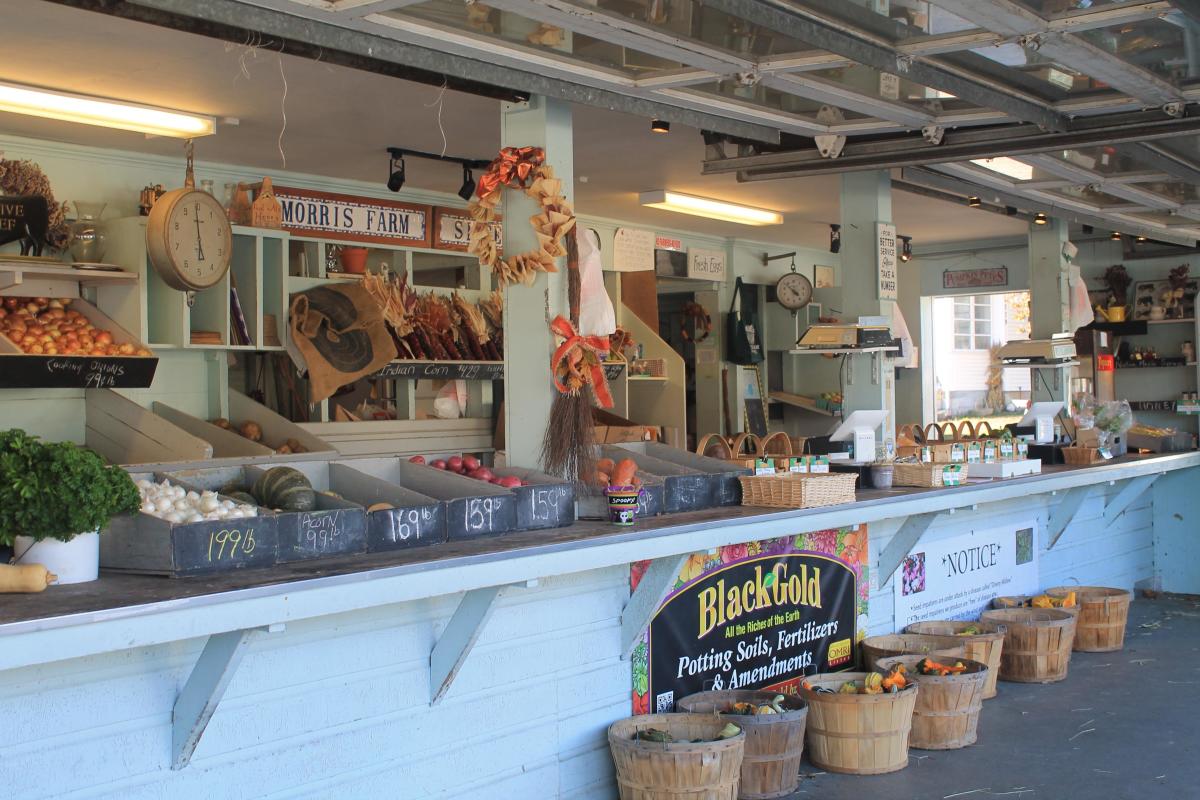 Morris Farm | Warwick, RI 02889