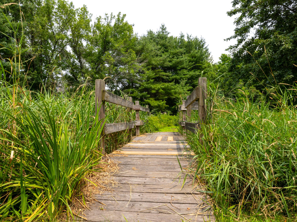 Audubon Society of Rhode Island | Smithfield, RI 02917