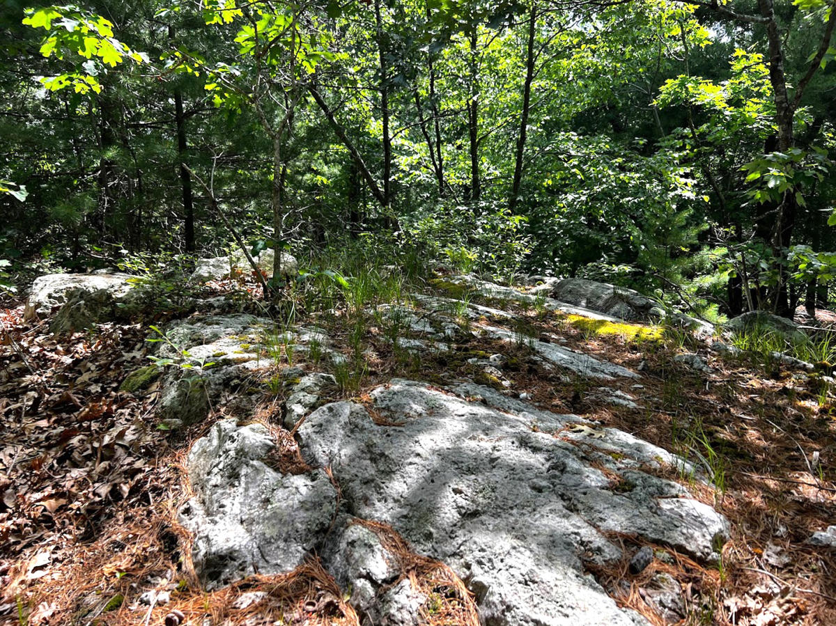 Diamond Hill Park & Bike Trail | Cumberland, RI 02864