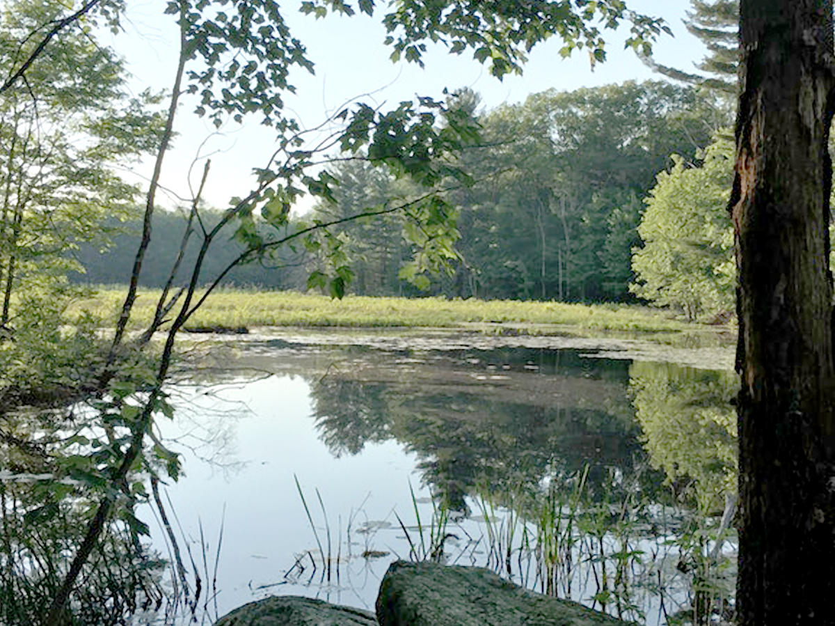 Fort Nature Wildlife Refuge | North Smithfield, RI 02896