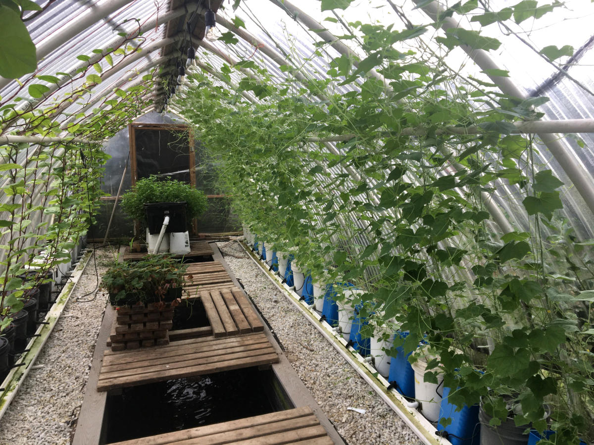 Mapleville Farm | Mapleville, RI 02839