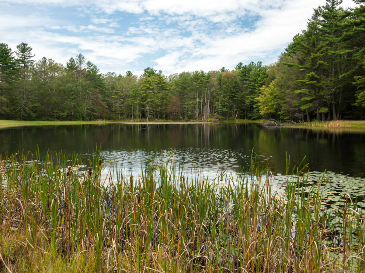 Round Top Brook and Management Area | Burrillville, RI 02830