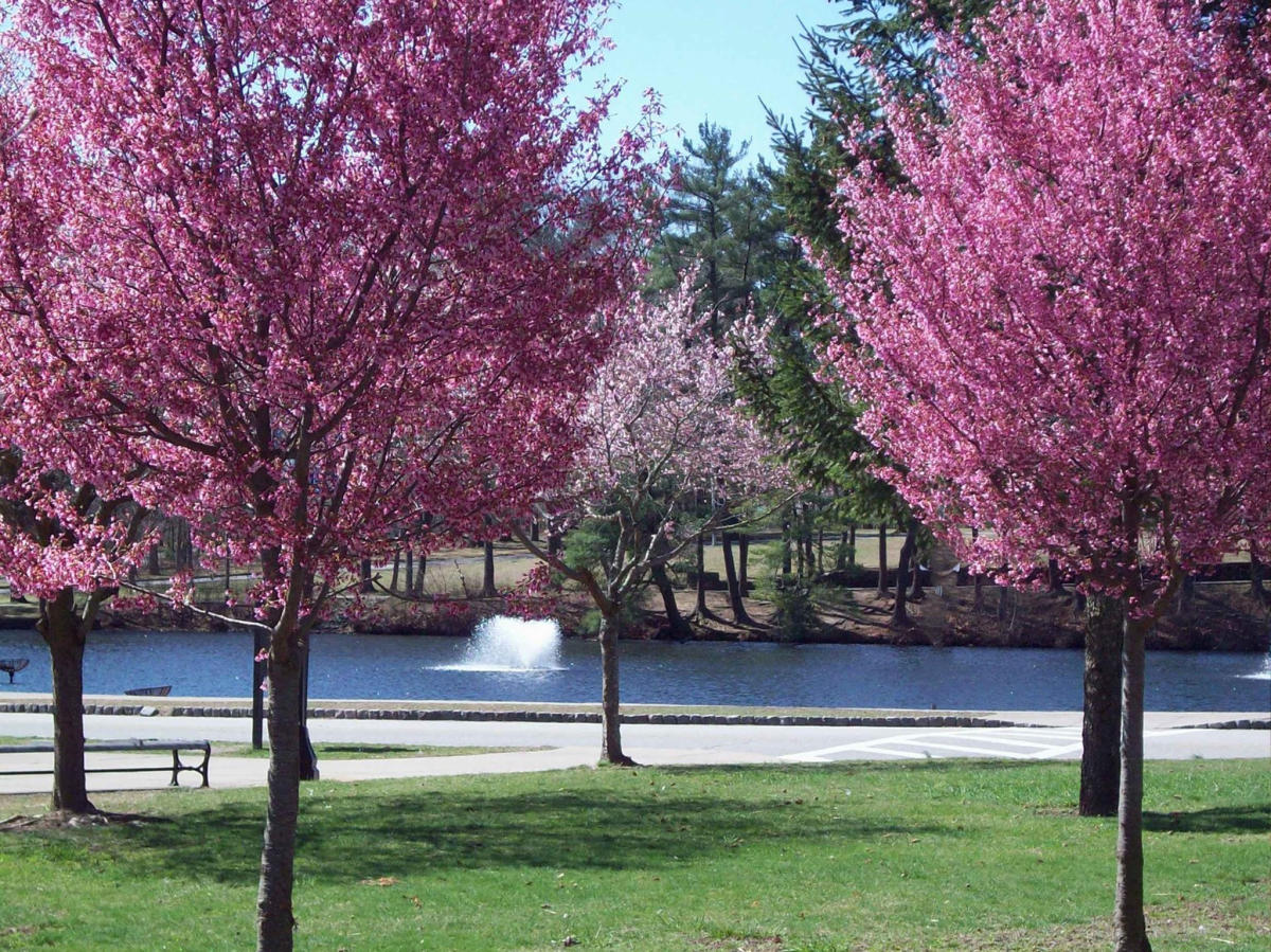 Slater Memorial Park | Pawtucket, RI 02861