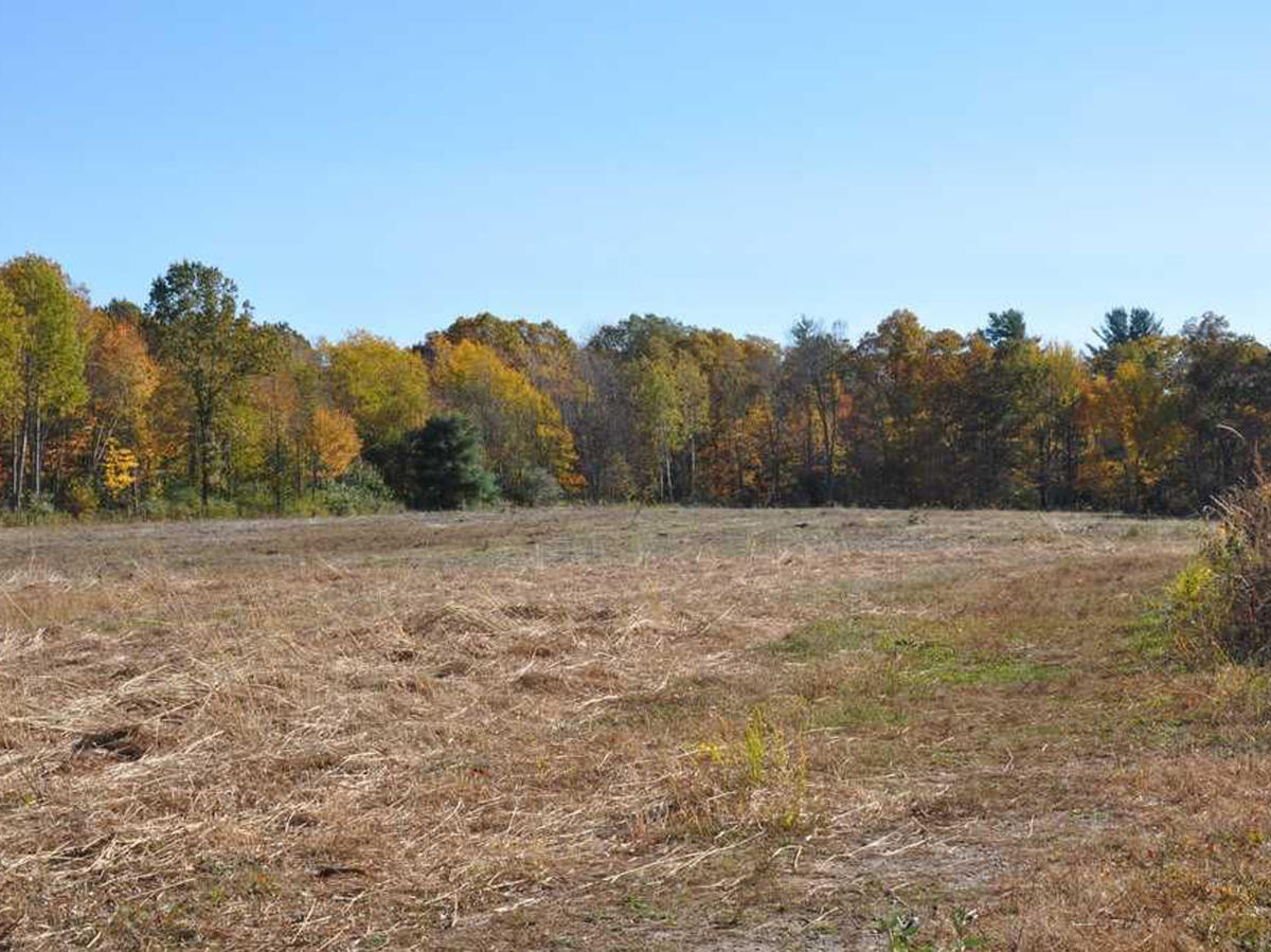 Steere Hill Conservation Area and Phillips Farm | Chepachet, RI 02814