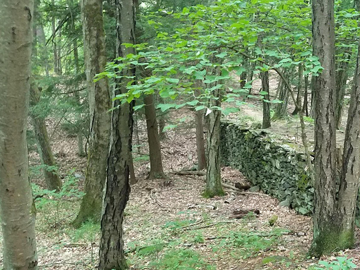 Steere Hill Conservation Area and Phillips Farm | Chepachet, RI 02814