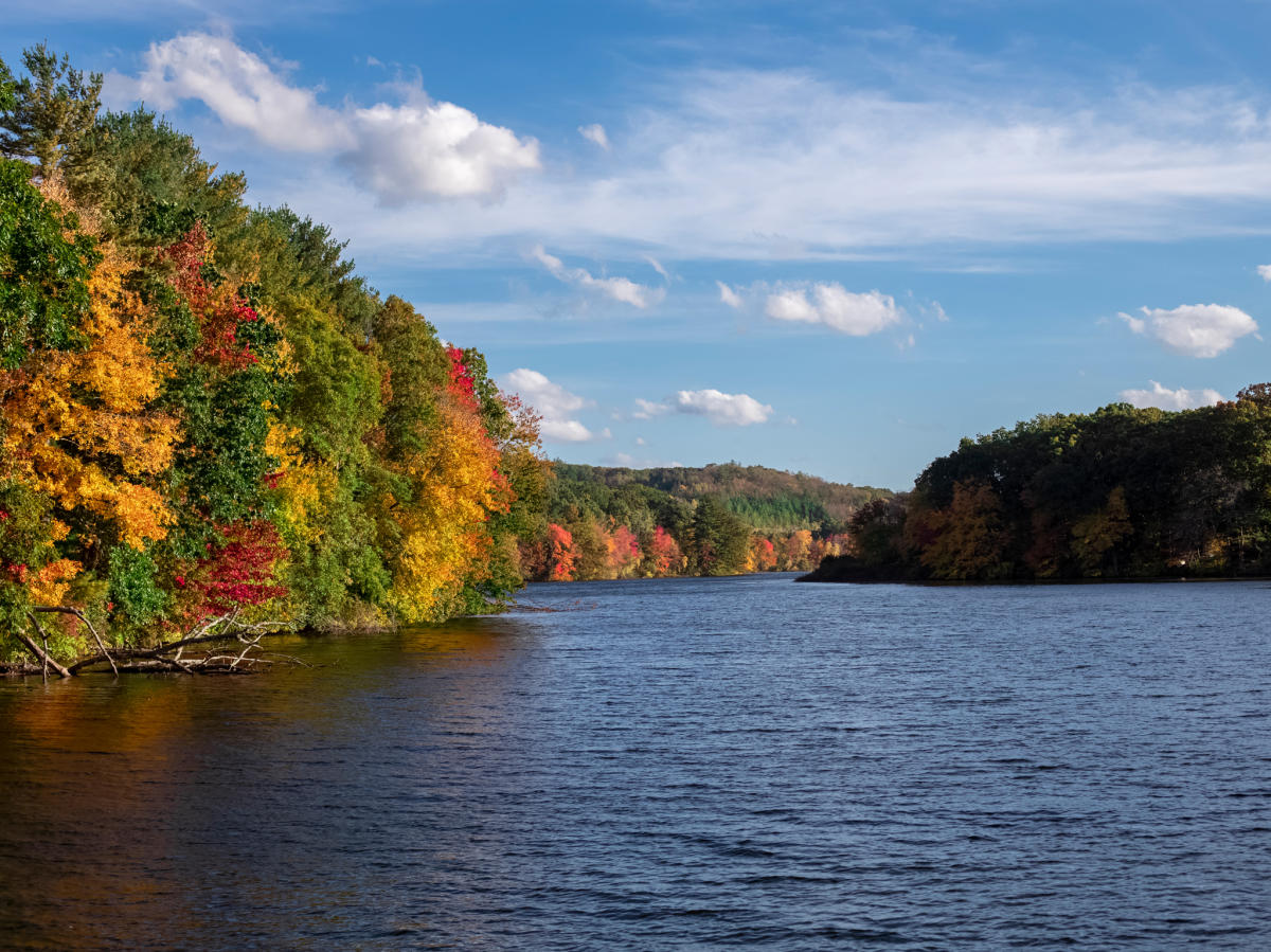 Wolf Hill Forest Preserve / Mercer Overlook | Smithfield, RI 02917