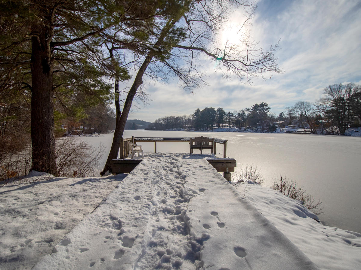 Wolf Hill Forest Preserve / Mercer Overlook | Smithfield, RI 02917