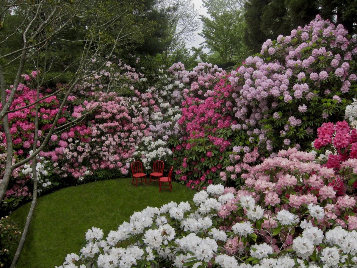 Sakonnet Garden Ri
