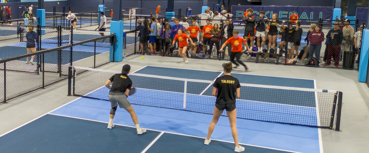 Performance Pickleball RVA