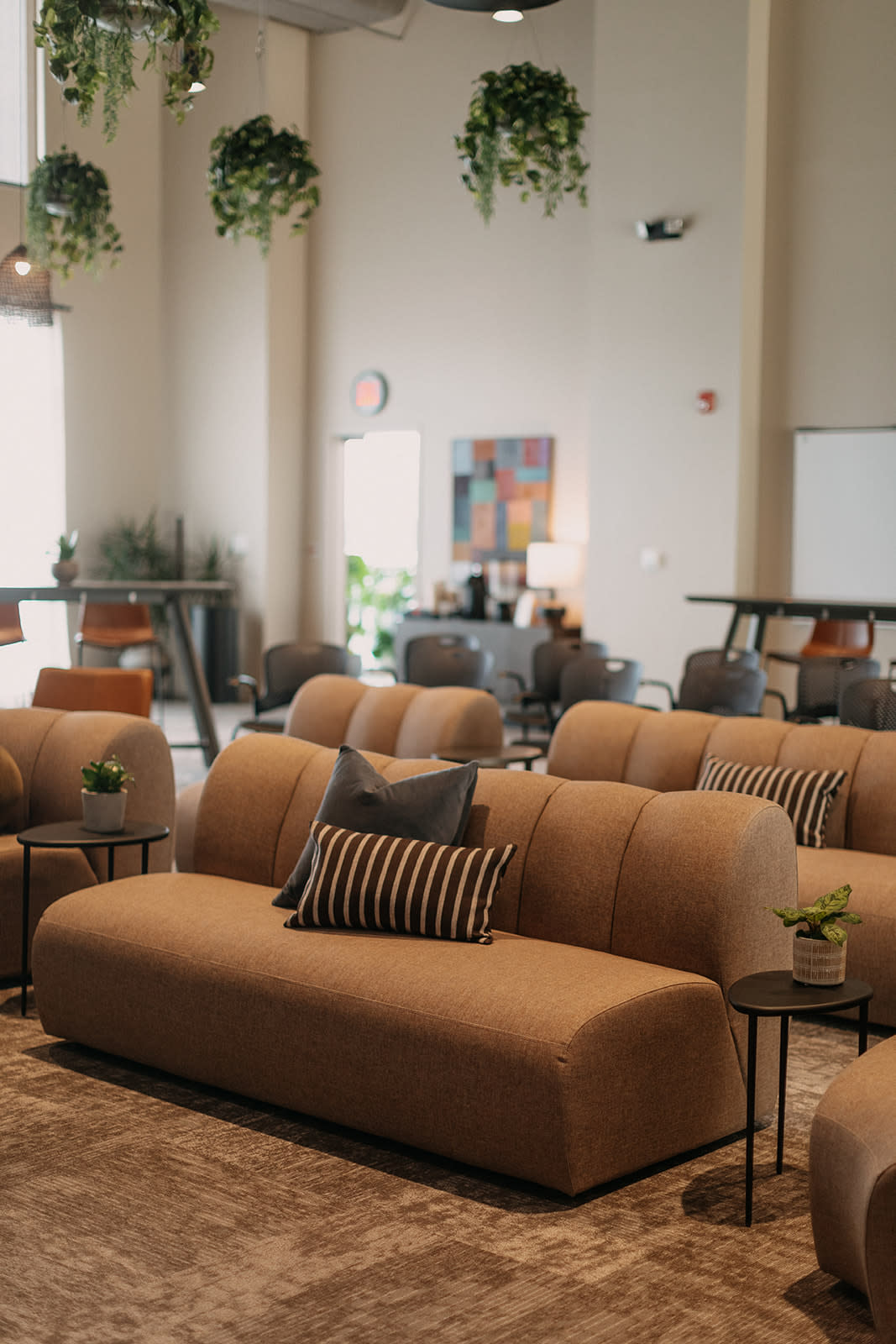 Lost Office Collaborative