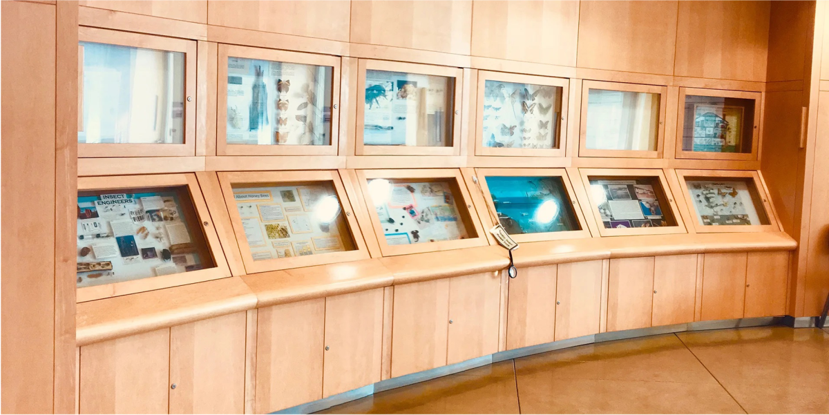 Entomology Research Museum