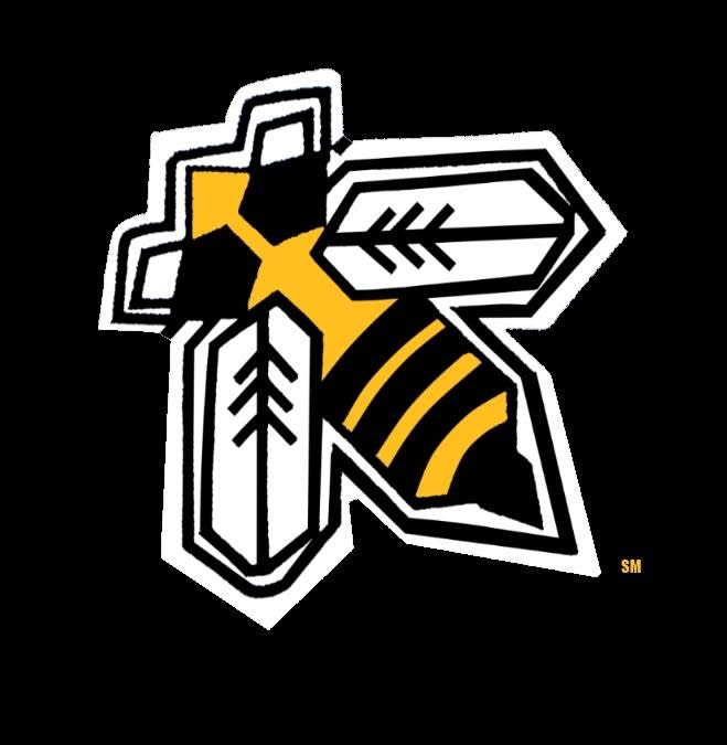 Yellow Jacket Logo Edcouch Elsa Yellow Jackets | Texas HS Logo Project