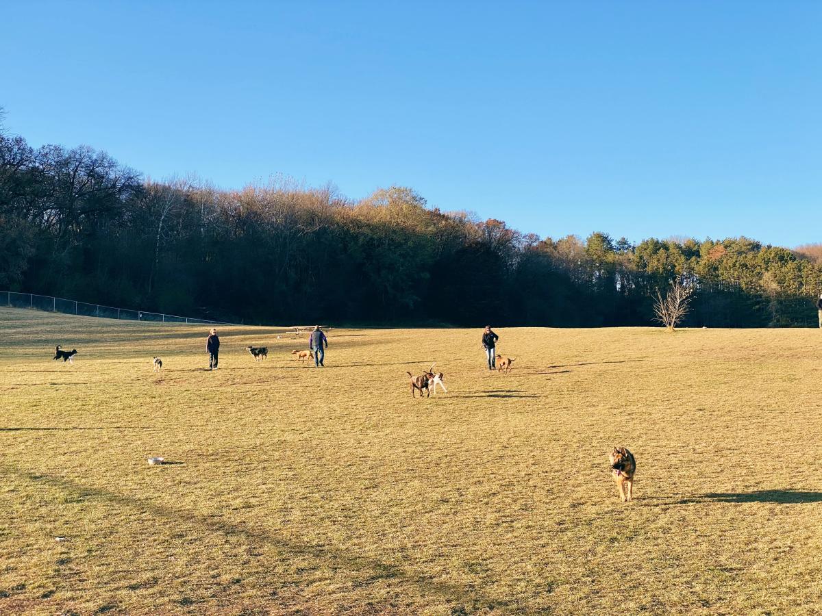River Road Dog Park | Rochester, MN 55901
