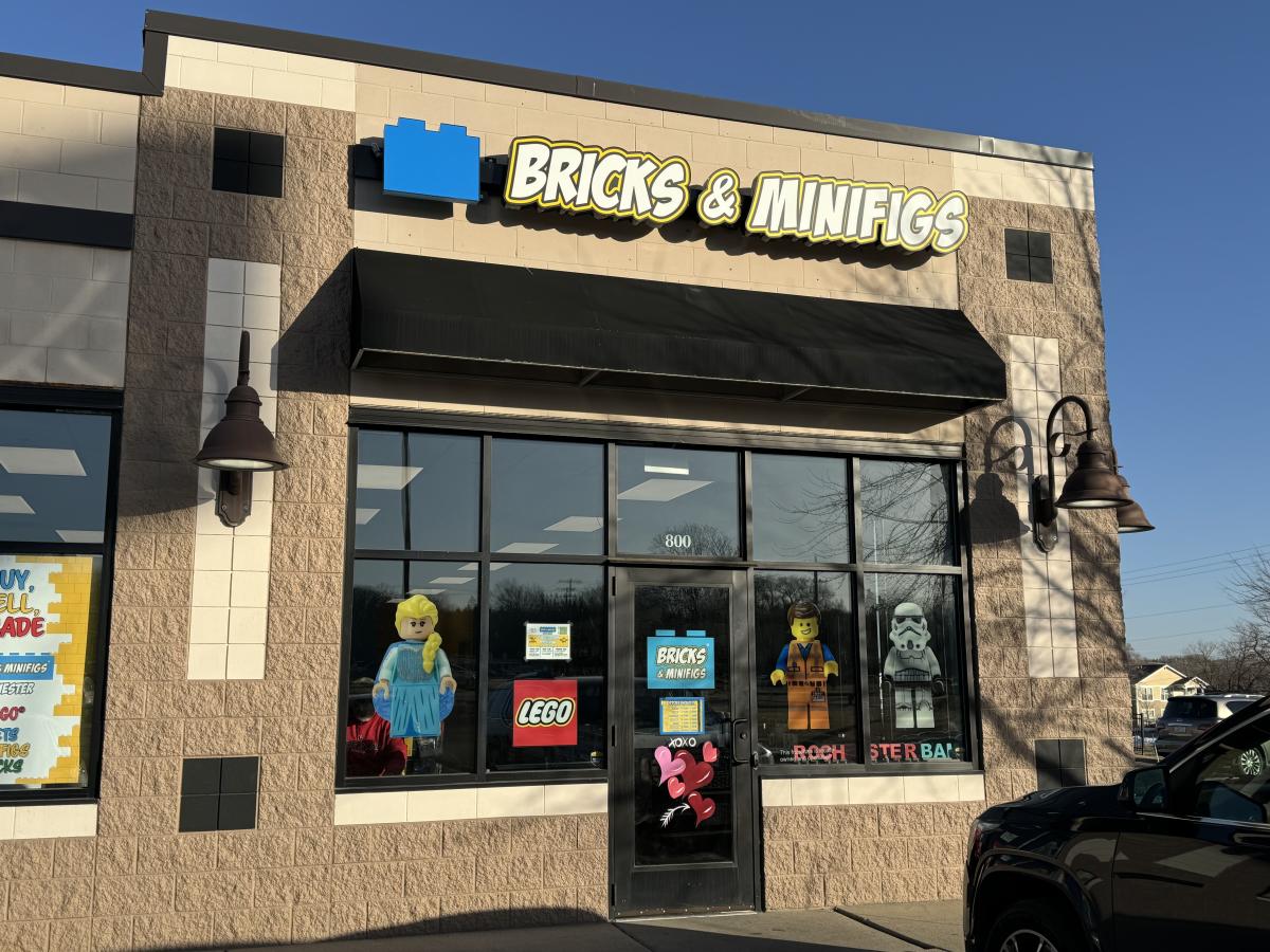 bricks and minifigs