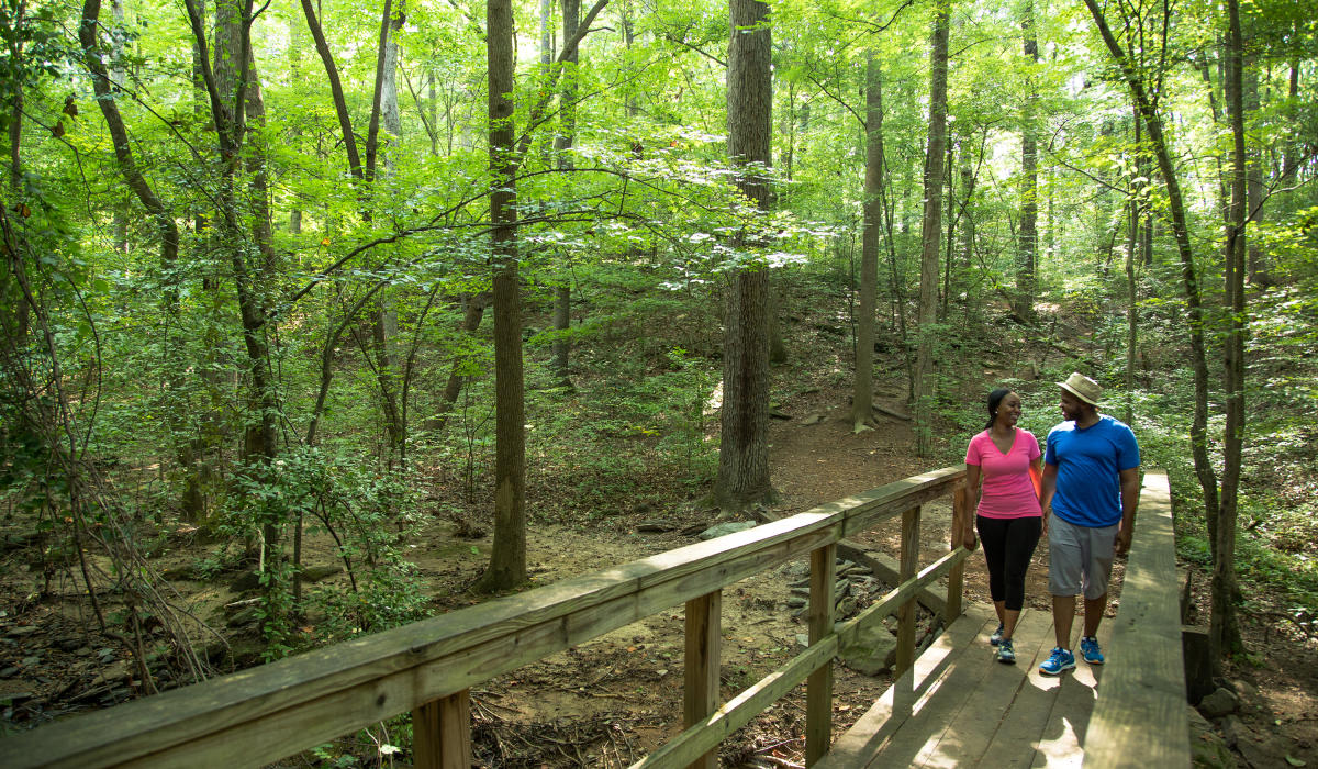 John Ripley Forbes Big Trees Forest Preserve