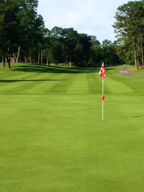 Stadium golf course, schenectady, New York - Golf course information ...