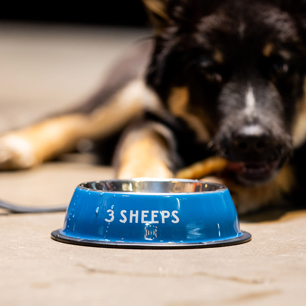 3 Sheeps Brewing Company