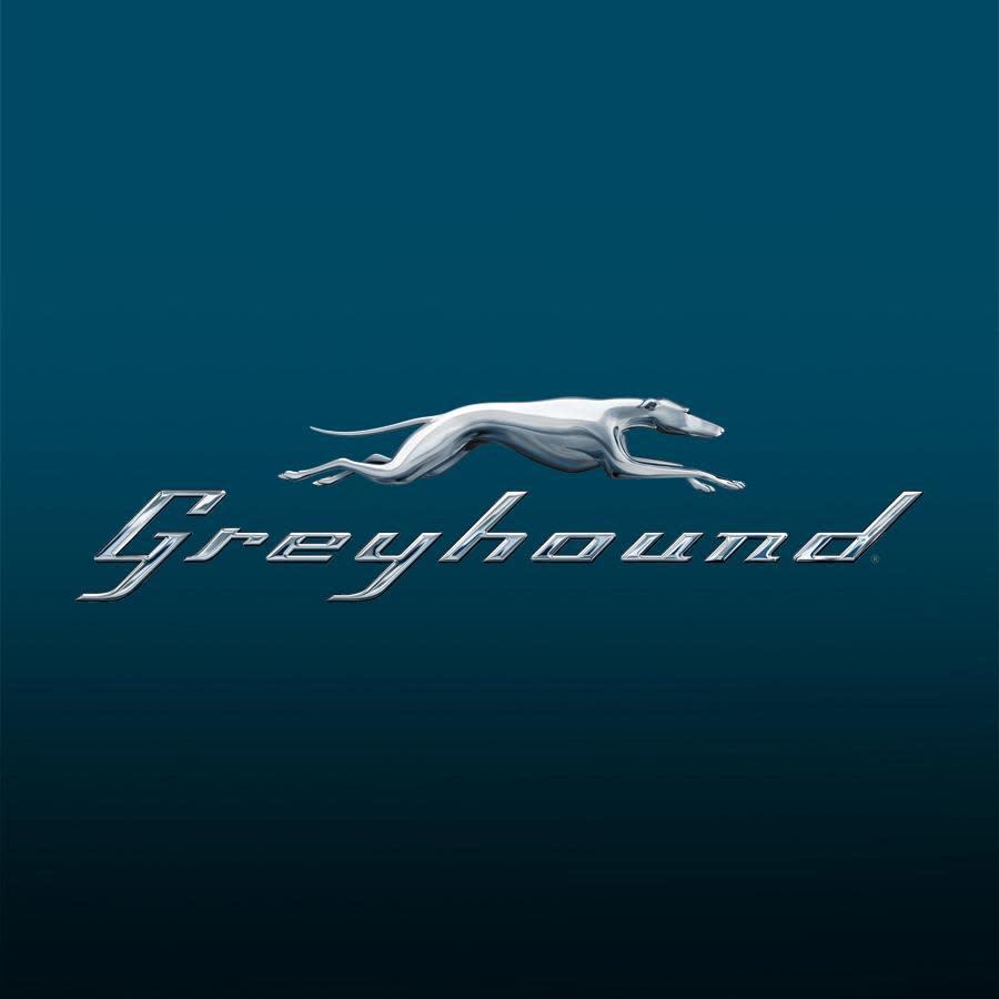 greyhound buses