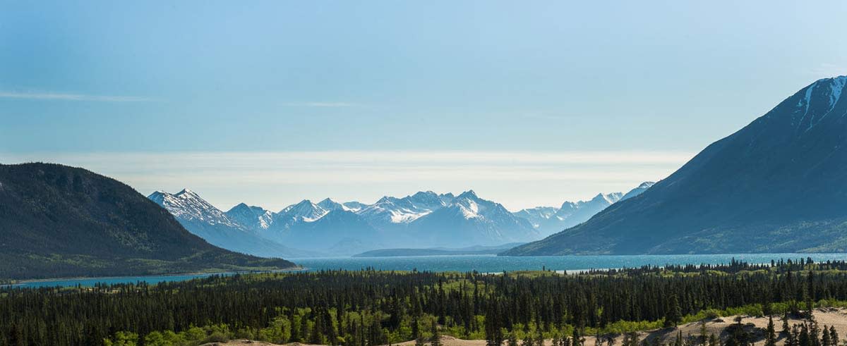 Chilkoot Charters & Tours