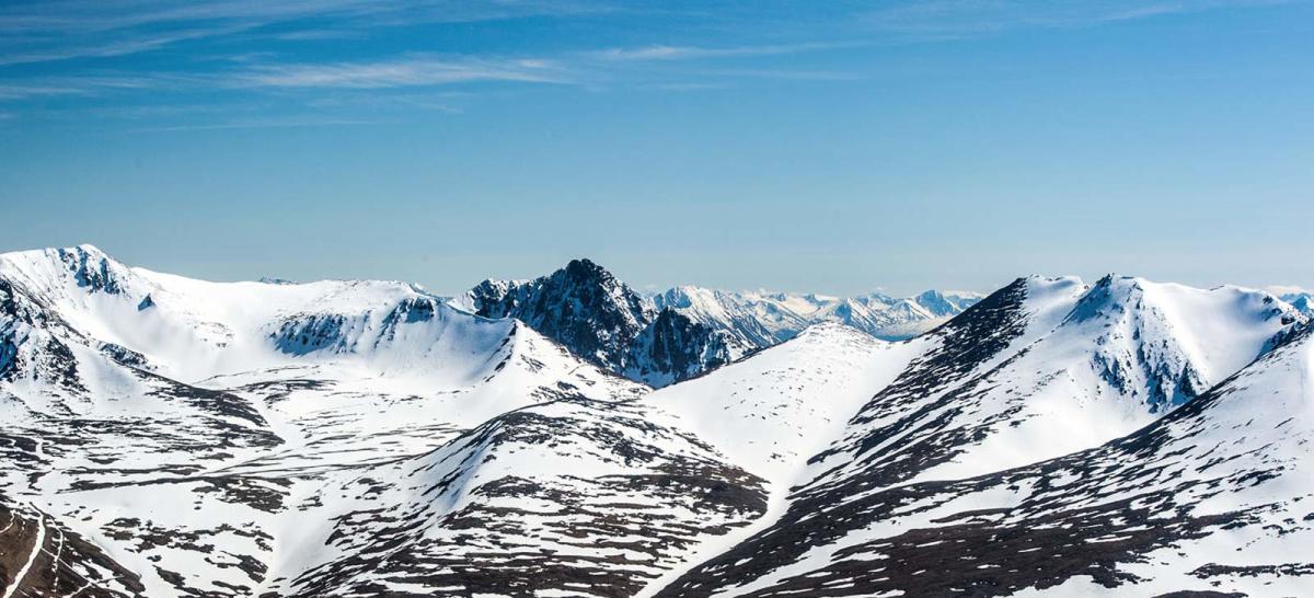 Chilkoot Charters & Tours