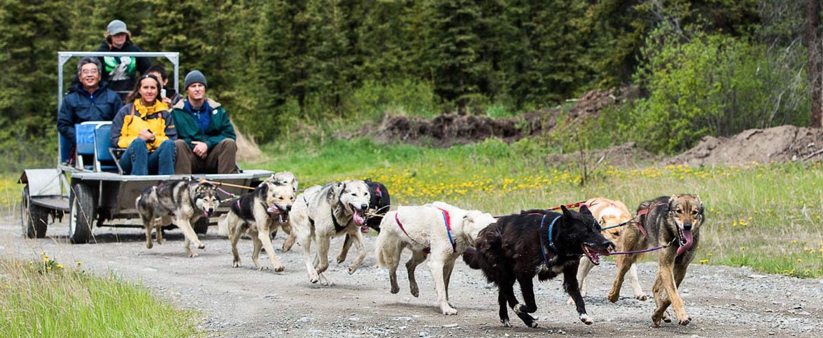 Chilkoot Charters & Tours