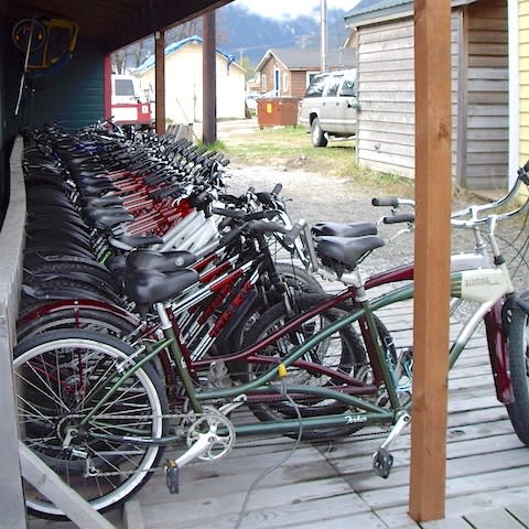 Sockeye Cycle