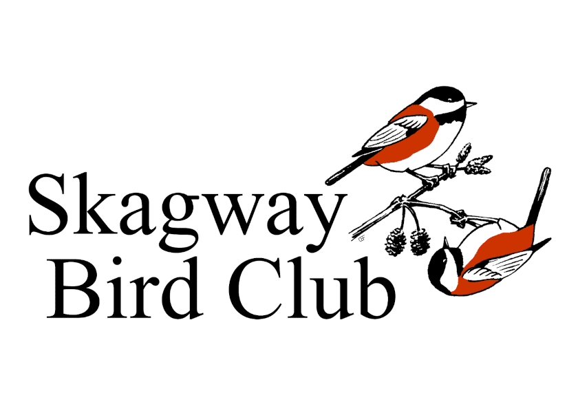Bird Club Meeting
