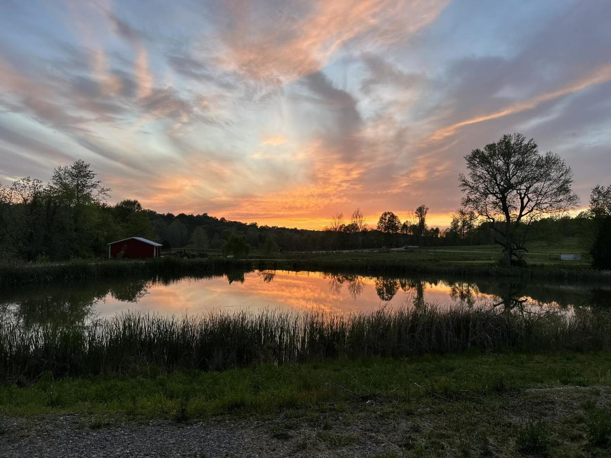 Fallen Oak Campground and Vineyard