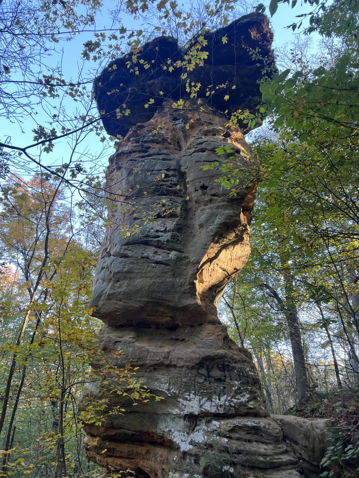 Jug Rock Nature Preserve