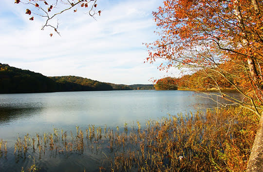 Yellowwood State Forest