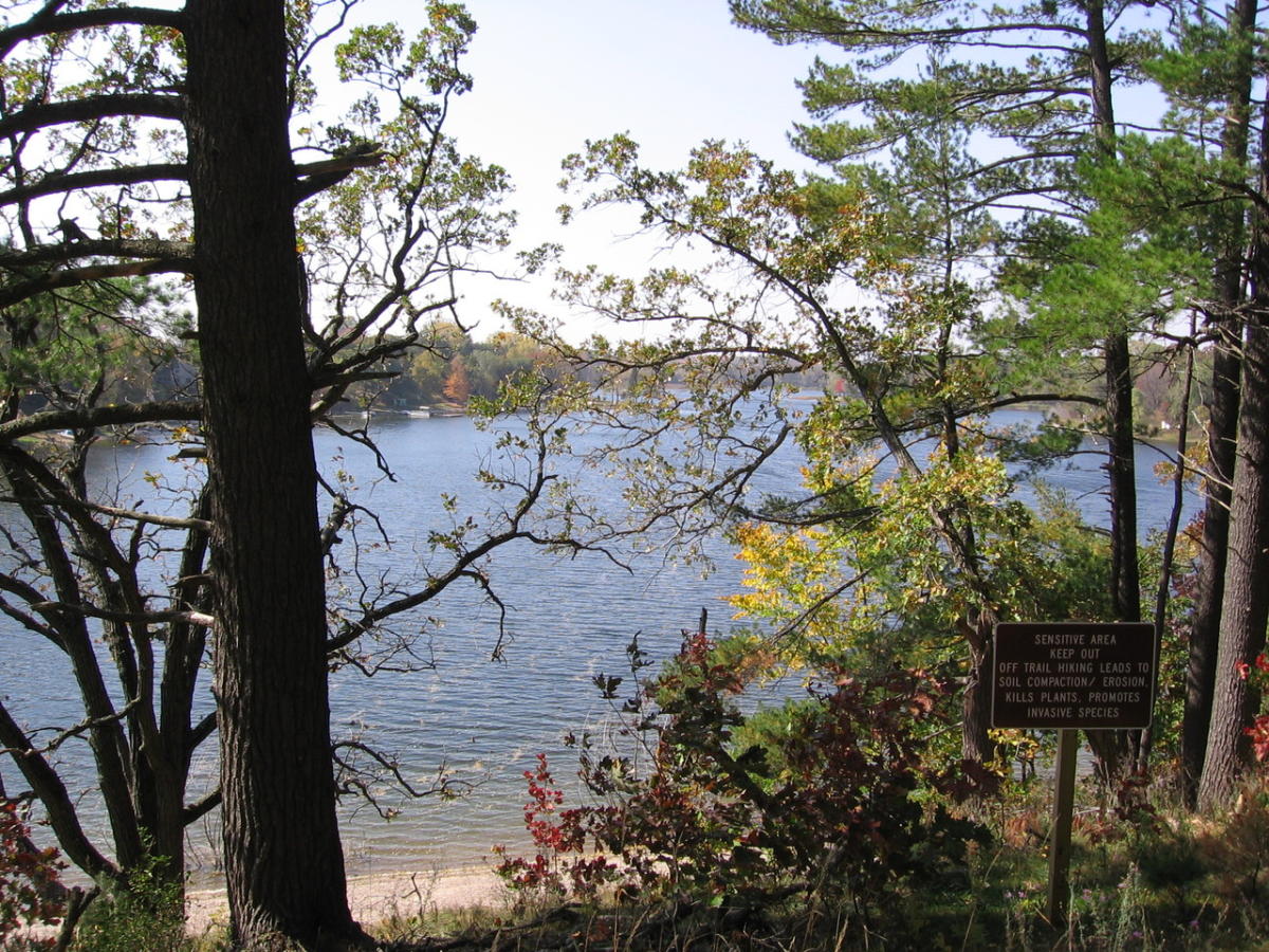 Lake Emily Campground Florence Wi