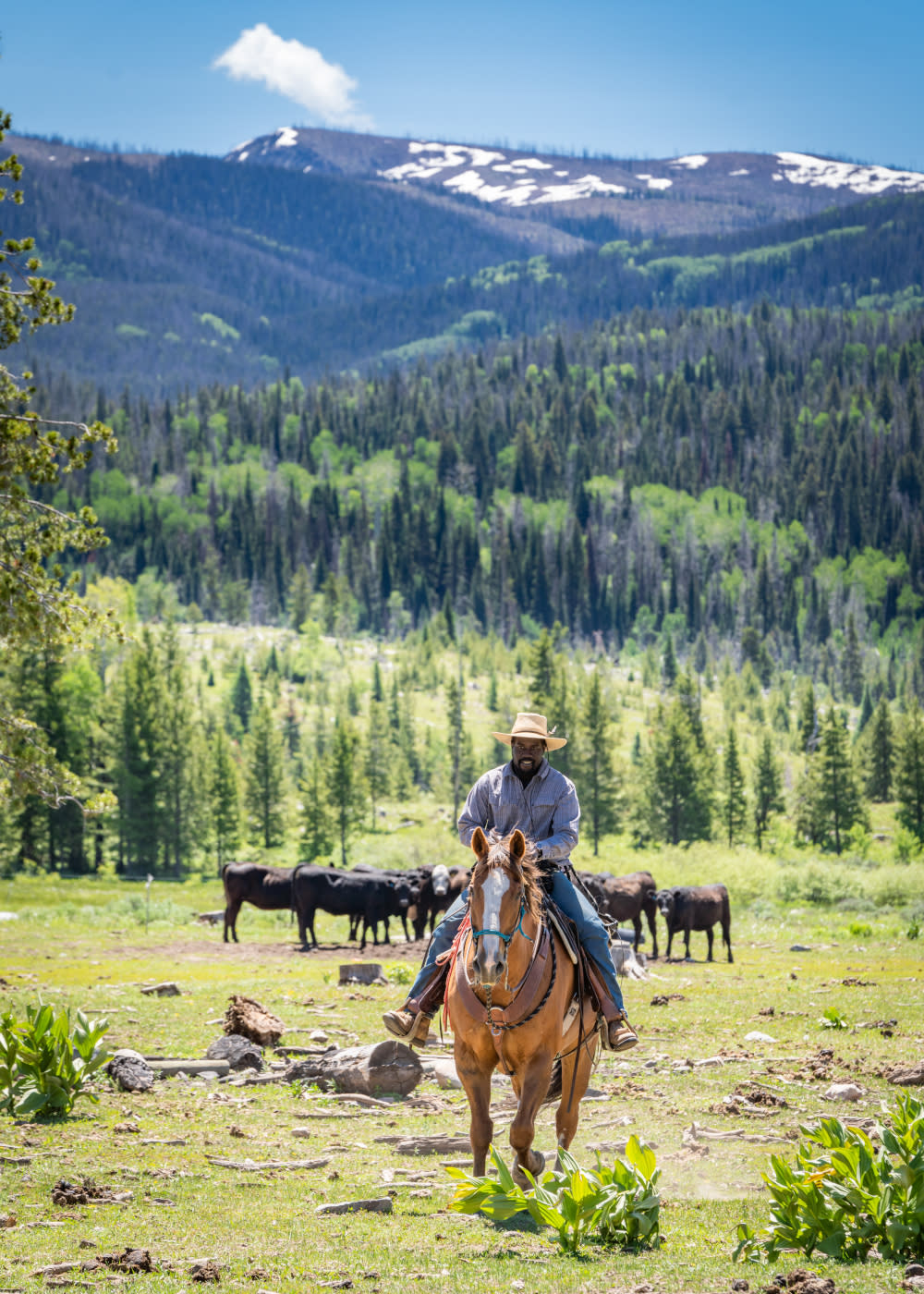 Vista Verde Guest Ranch | Guest Ranches | Clark, CO