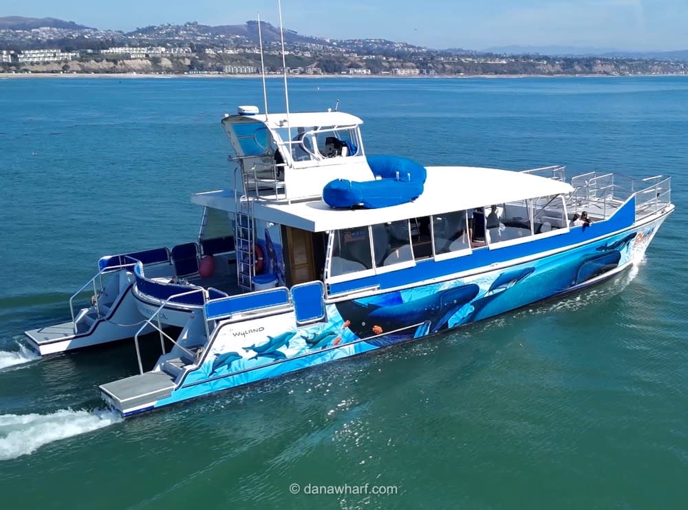 dana wharf promo code