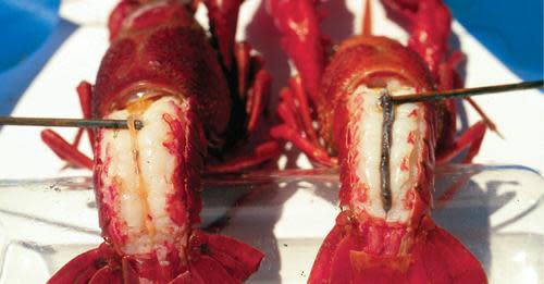 Michael Arnone's Crawfish Festival