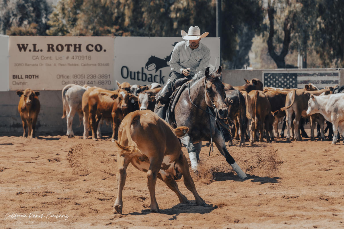 California Ranch Company | Temecula, CA
