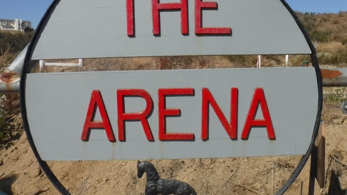 The Arena