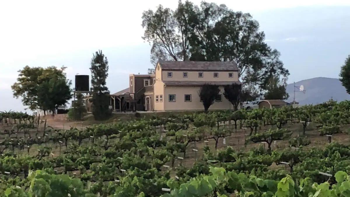Vineyard Wine Country Home