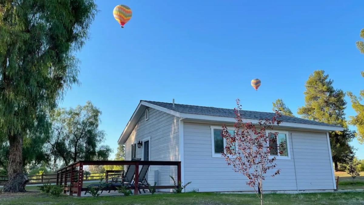 Adorable Guest House