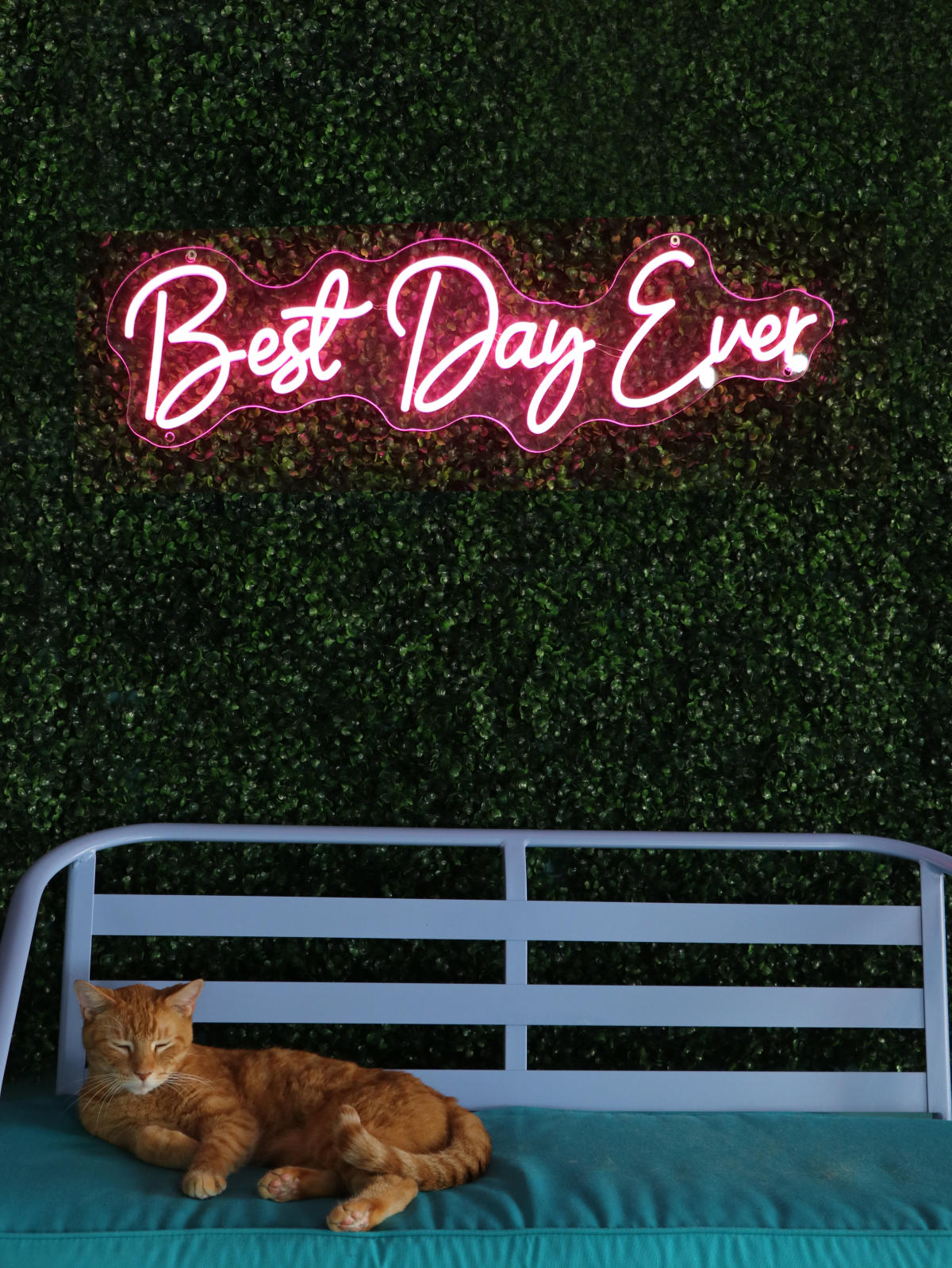 the best day atmosphere release date