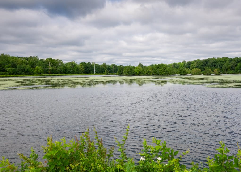 JI Case Wetland Wildlife Refuge