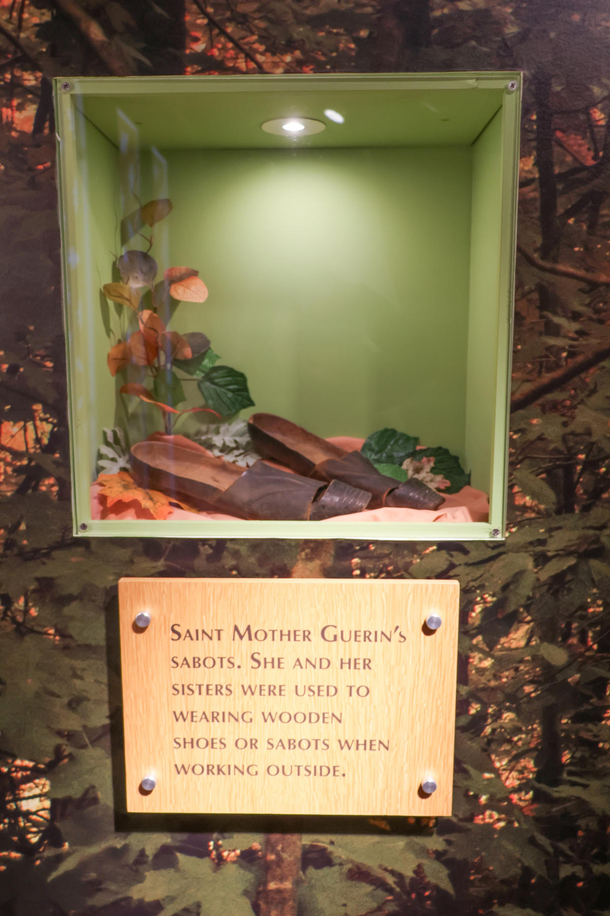 The Shrine of Saint Mother Theodore Guerin