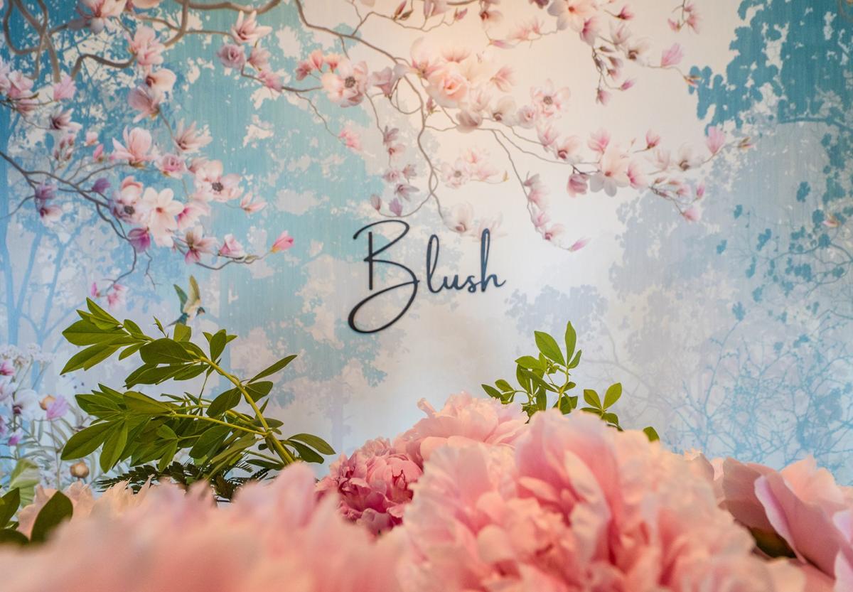 Blush Rooftop Terrace at Alexandra Inn | Traverse City, MI 49686