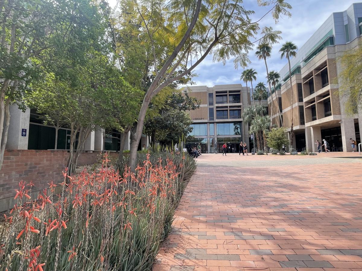 University Of Arizona Campus Pics