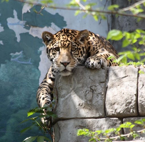 Tulsa Zoo | Tulsa, OK 74115