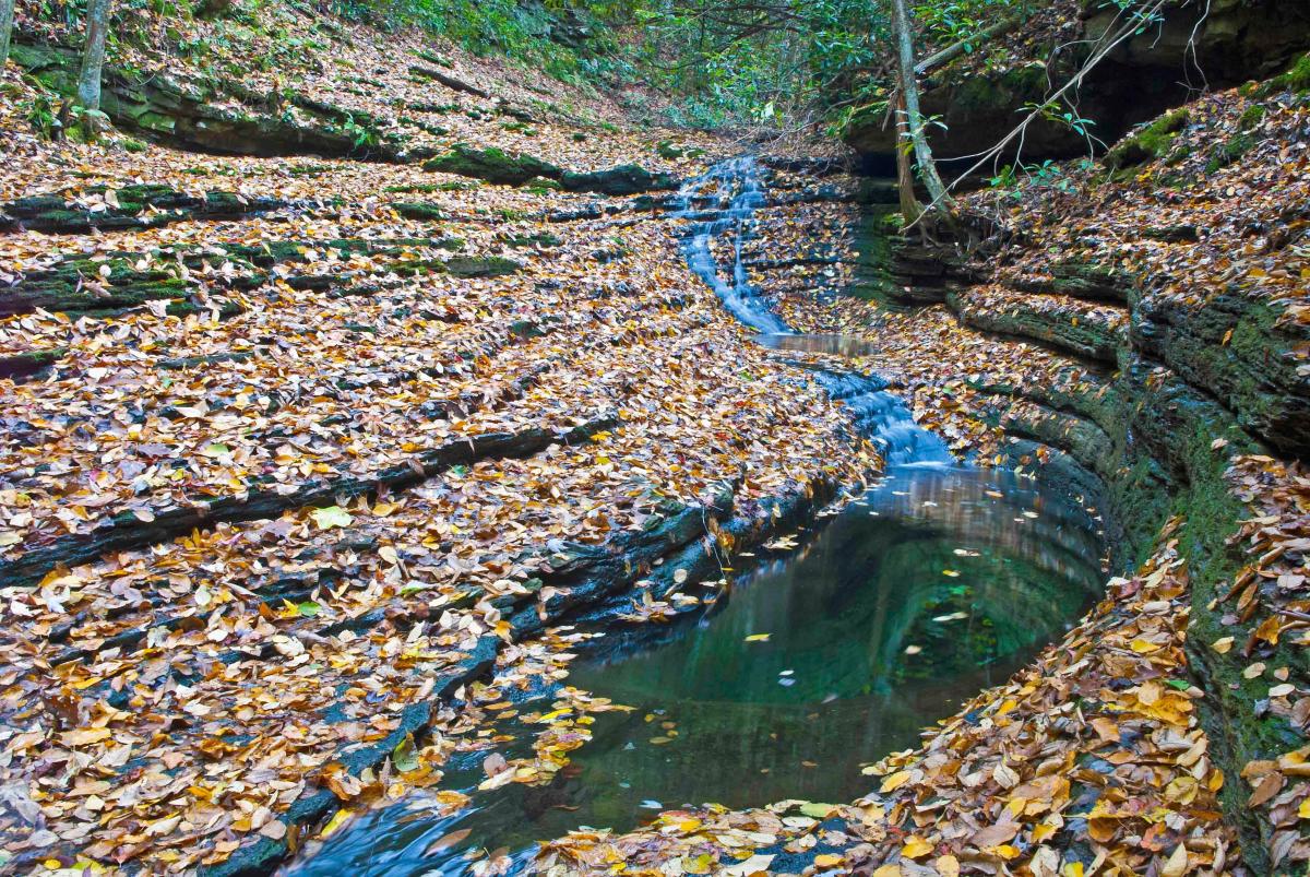 Devils Swimming Hole Virginia Devil's Den, Cheat River, W. Va. West
