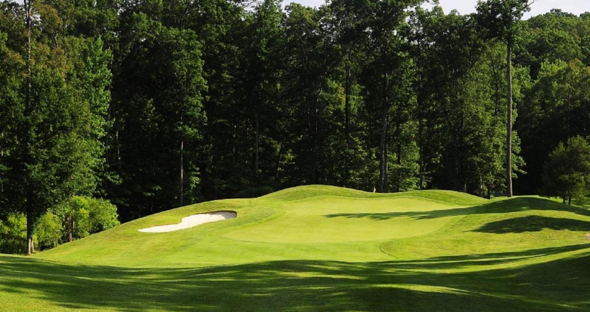 Campo De Golf Forest Greens New Shorewood Disc Golf Course Set To Open