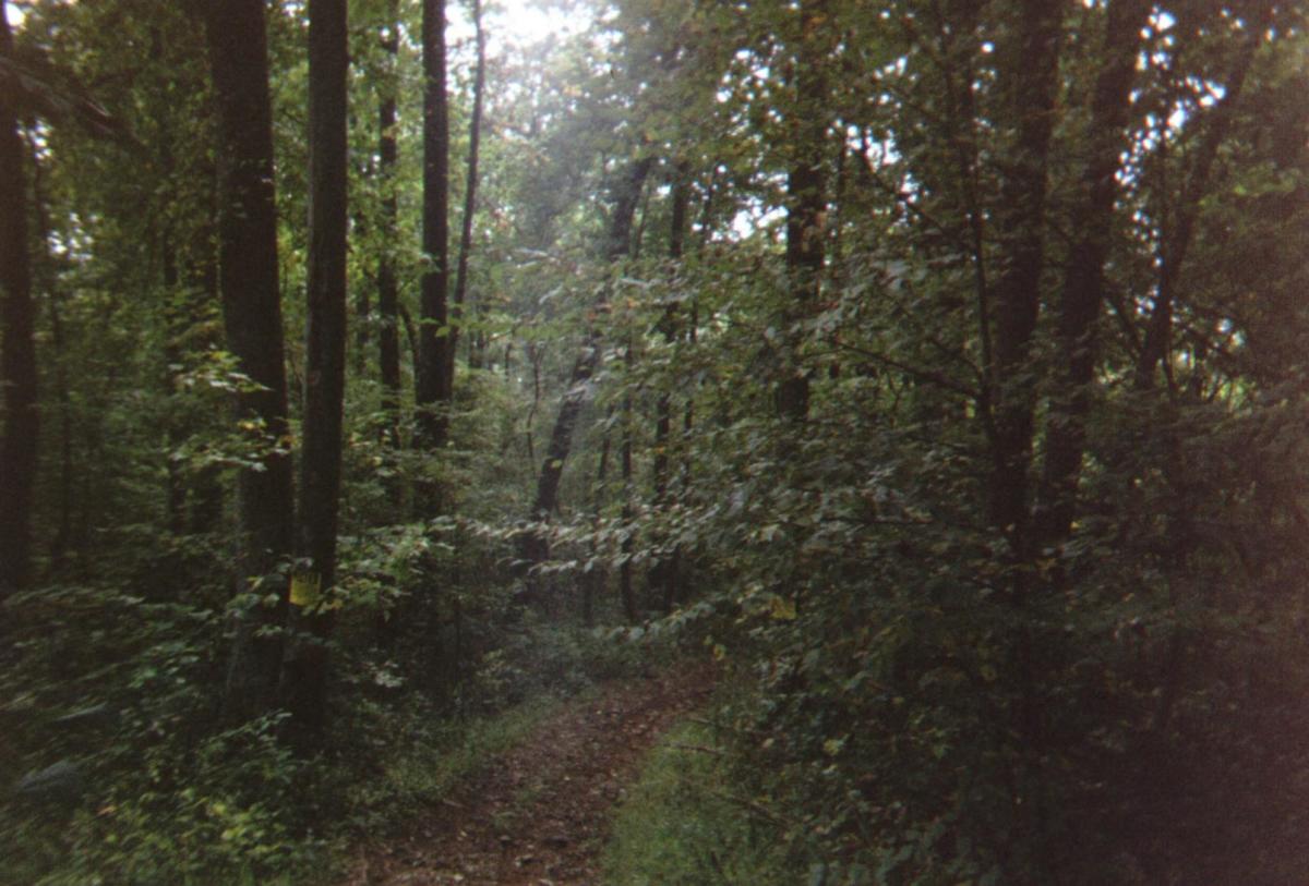 Rapidan Wildlife Management Area Shenandoah National Park – Page 2