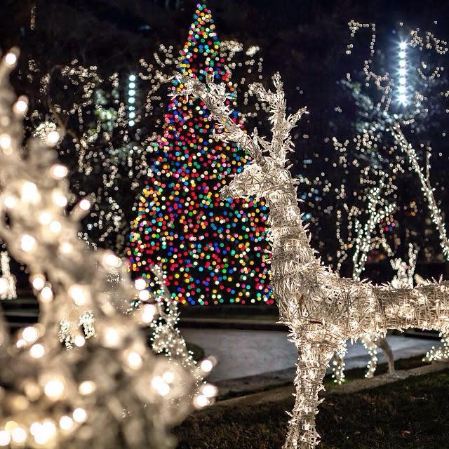 Richmond Christmas Lights Tacky Light Tour In Richmond Virginia 30